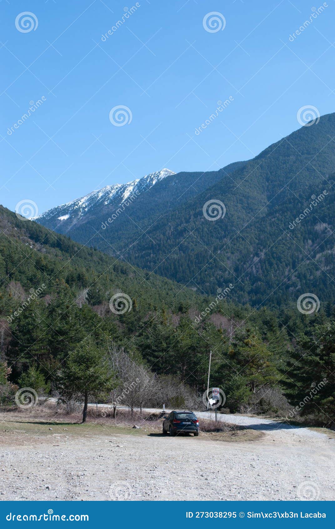 A Drive through the Picturesque Mountain Forests Stock Image - Image of ...