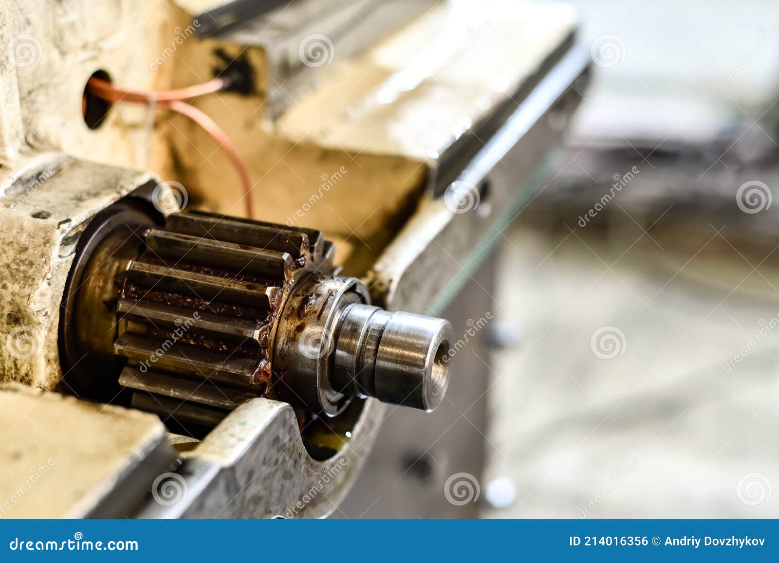 Drive Shaft with Teeth for Transmission of Motion on the Machine Stock ...