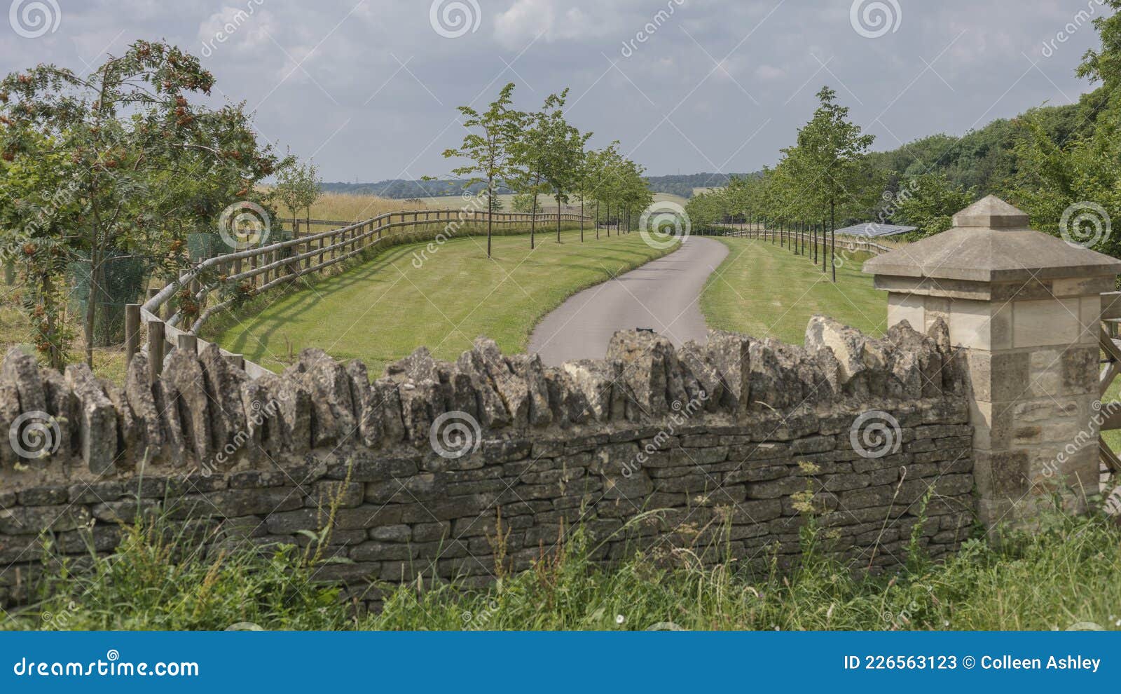 Drive Way Lined with Trees with a Wall in Front Stock Image - Image of ...