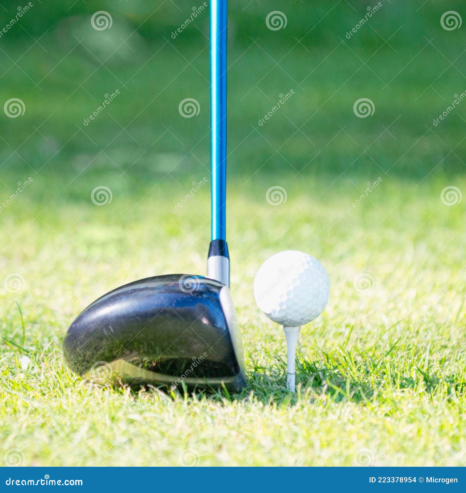 Driver behind golf ball stock photo. Image of putter - 223378954