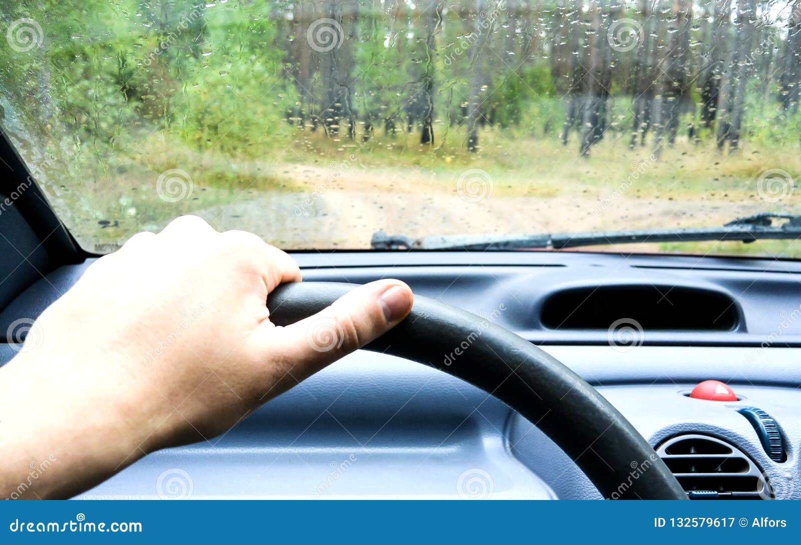 Driver`s Hand on the Steering Wheel Inside the Car on a Forest R Stock ...