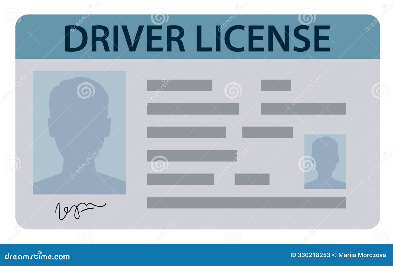 Driver S License. Driving Licence Vector Illustration Isolated on White ...