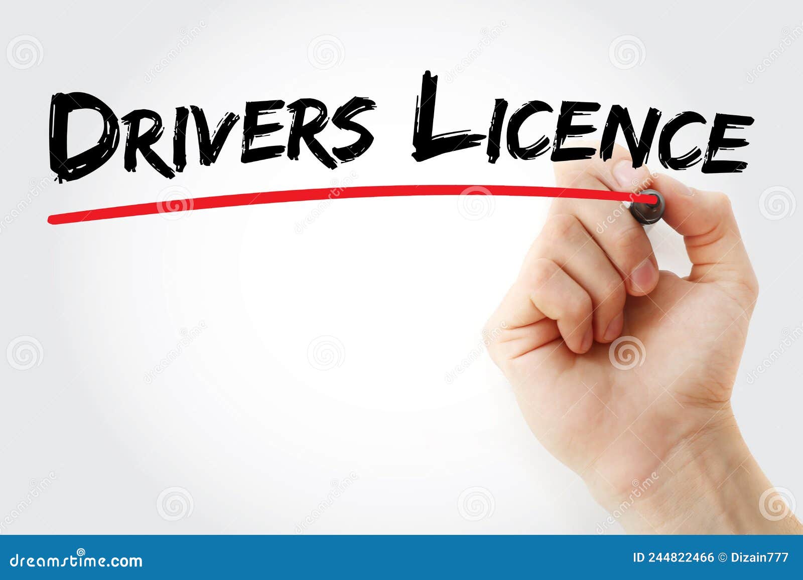 Driver`s License - Legal Authorization Confirming Authorization To ...