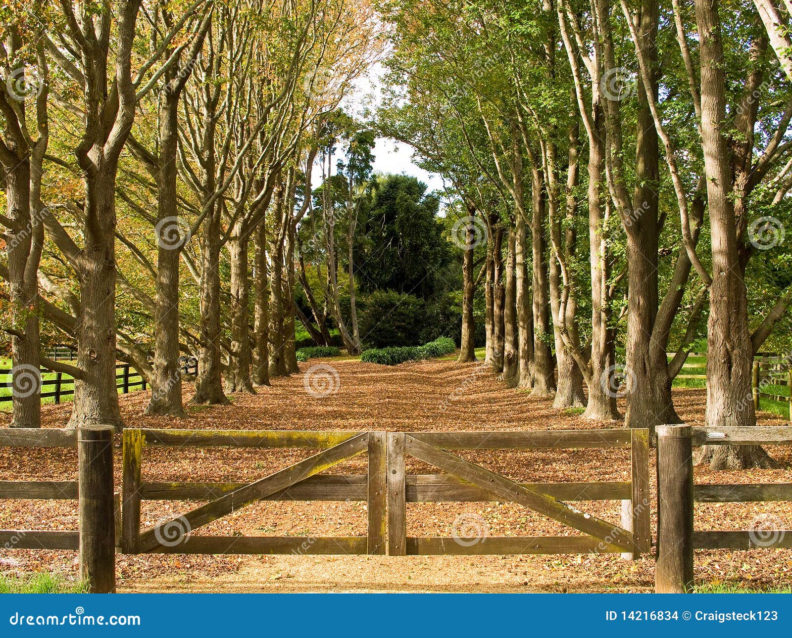 The driveway stock photo. Image of entrance, powerful - 14216834