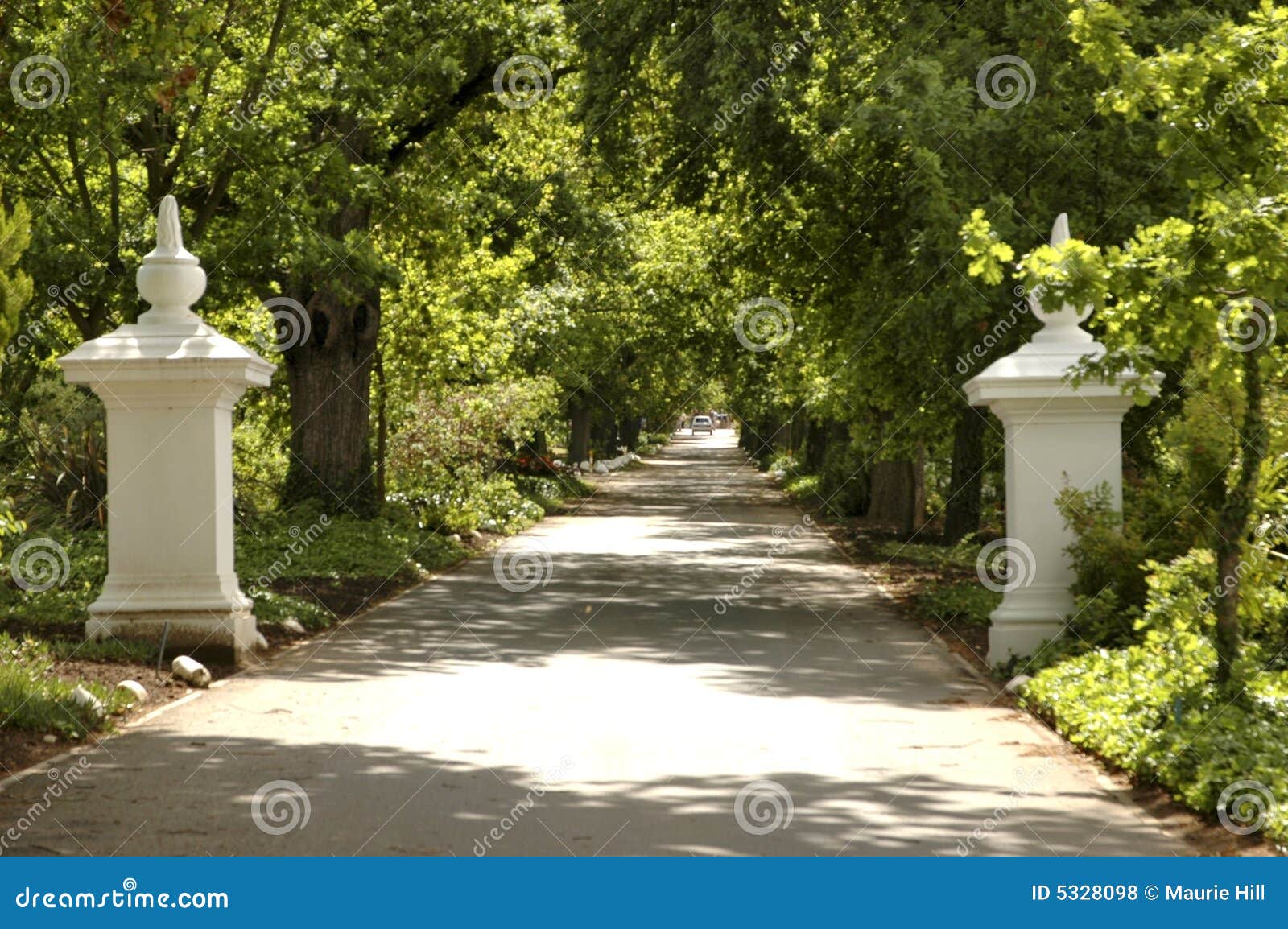 Driveway stock photo. Image of drive, entrance, homestead - 5328098