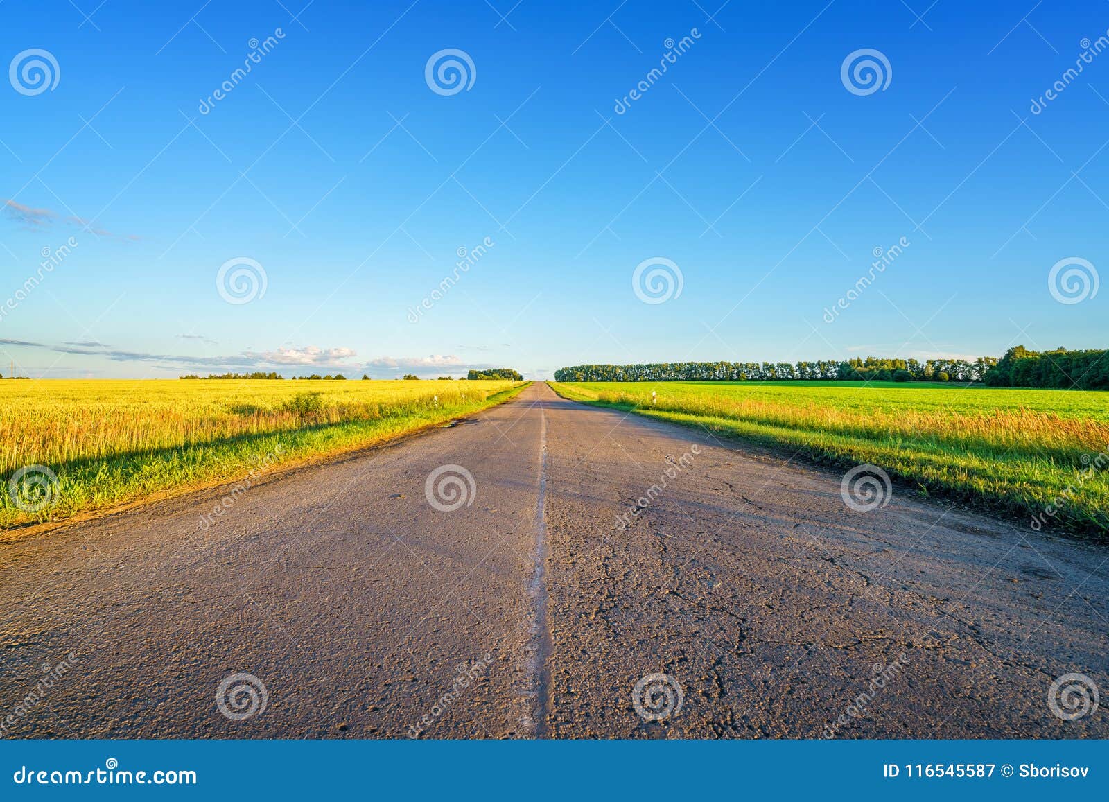 Driveway in a countryside stock image. Image of idyllic - 116545587