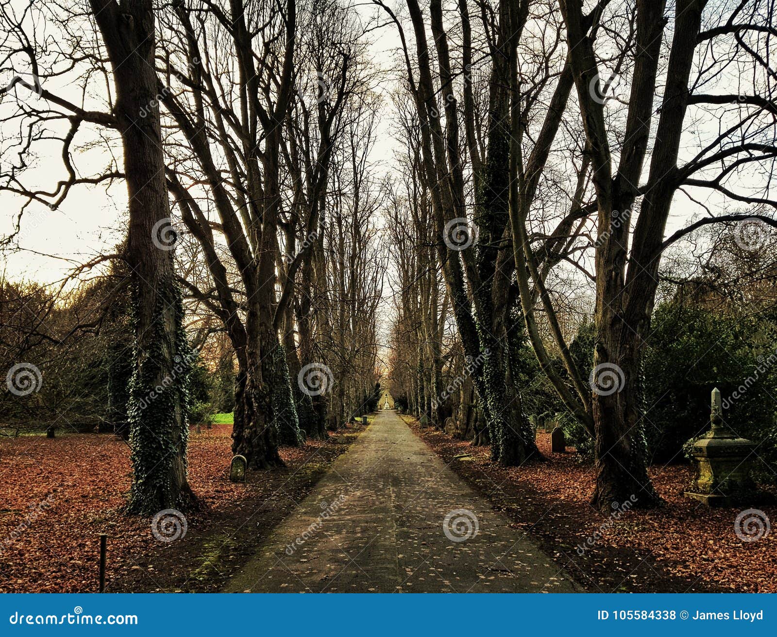Path Through The Cemetery Stock Photo | CartoonDealer.com #16351218