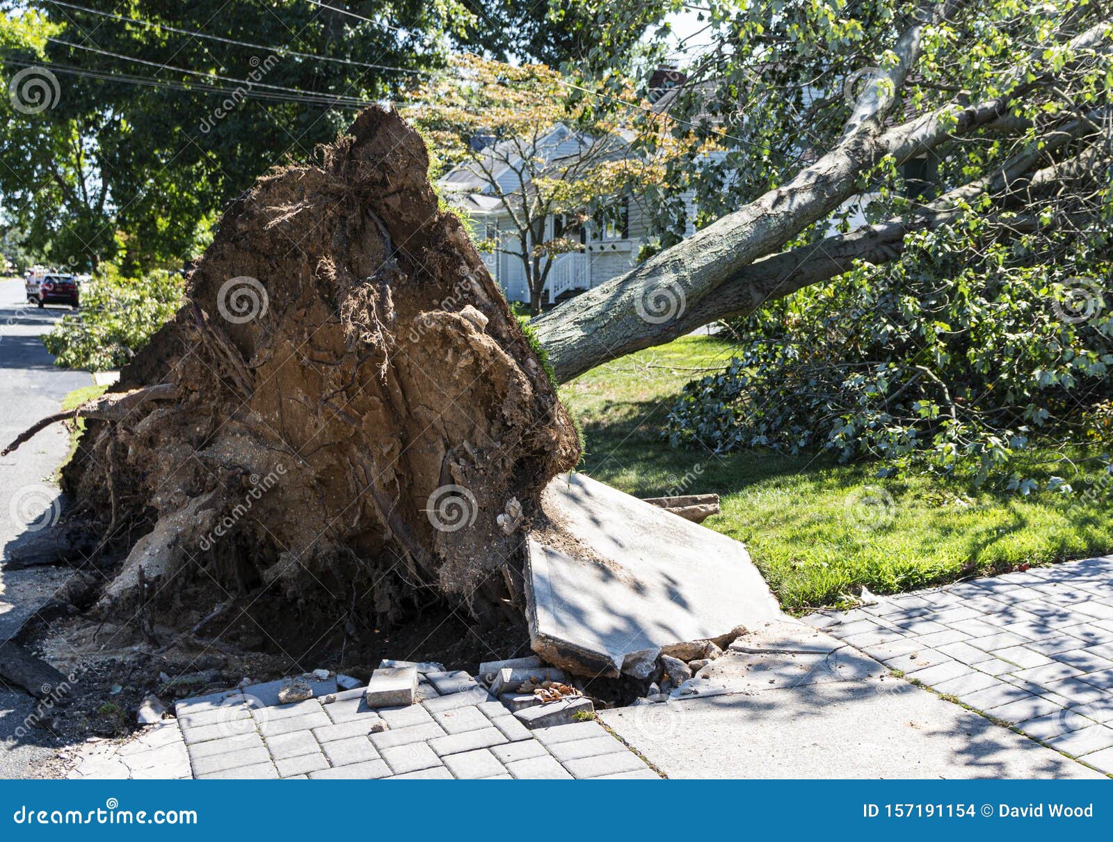 Driveway Riped Up when Tree Falls from Storm Stock Photo - Image of ...