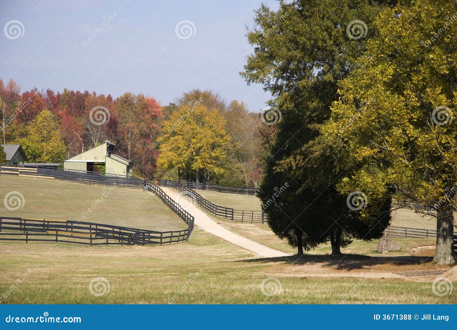 Driveway to Barns stock photo. Image of life, back, barns - 3671388