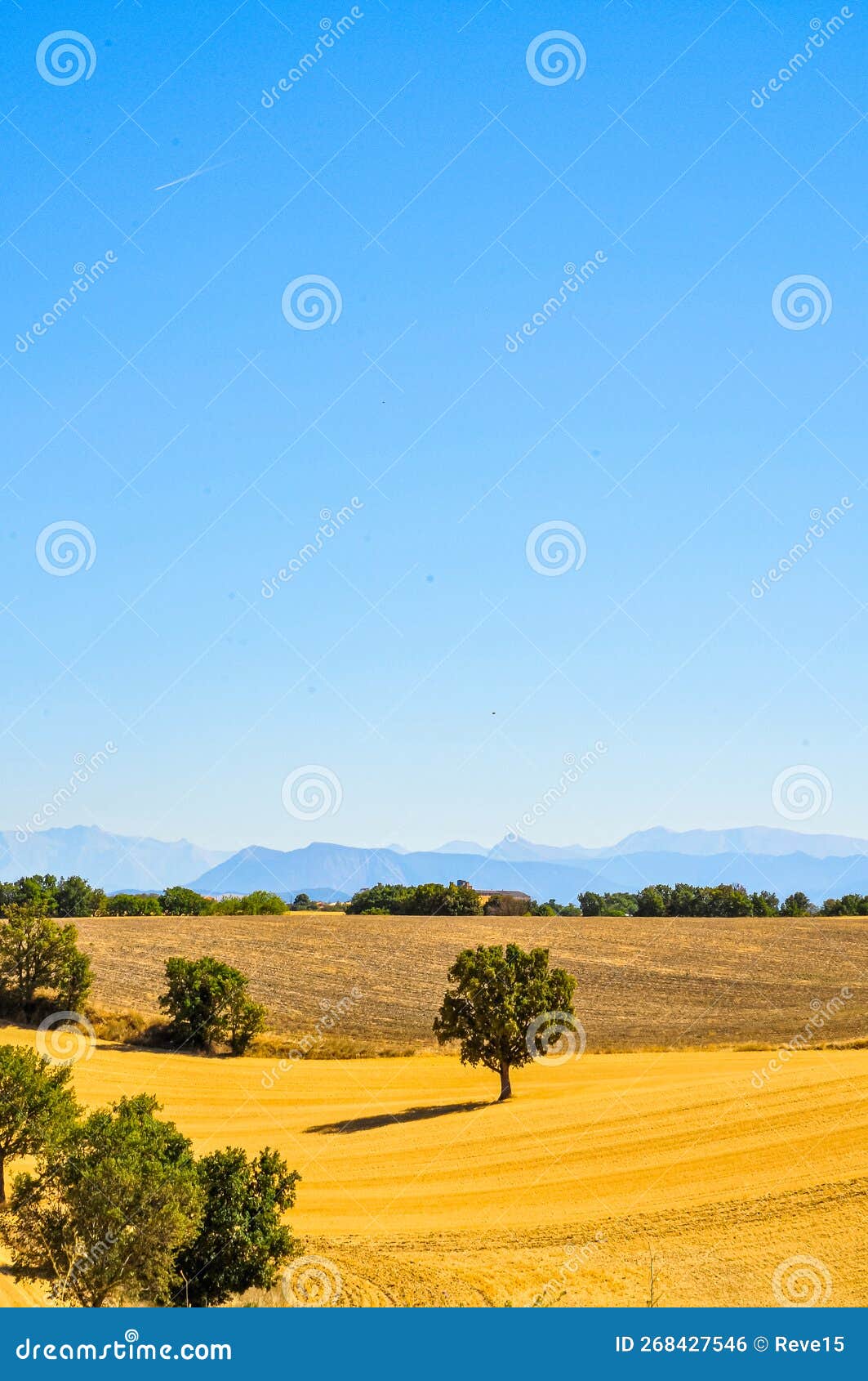 Driving through Aramon, Cut Wheat Fields, Farming Valley Stock Photo ...