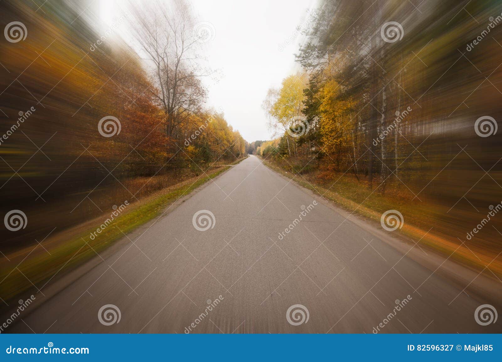 Driving through Autumn Forest Stock Image - Image of nature, motion ...