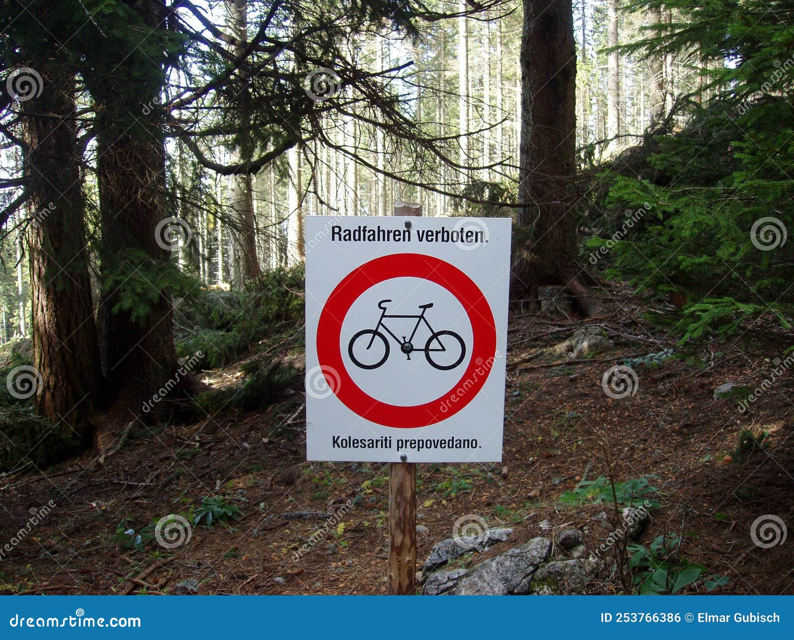 Driving Ban for Cyclists in Nature Stock Photo - Image of bicycle ...