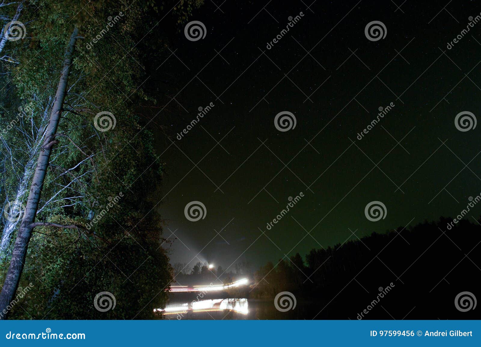 Driving a Car on a Night Road in the Forest Stock Photo - Image of ...
