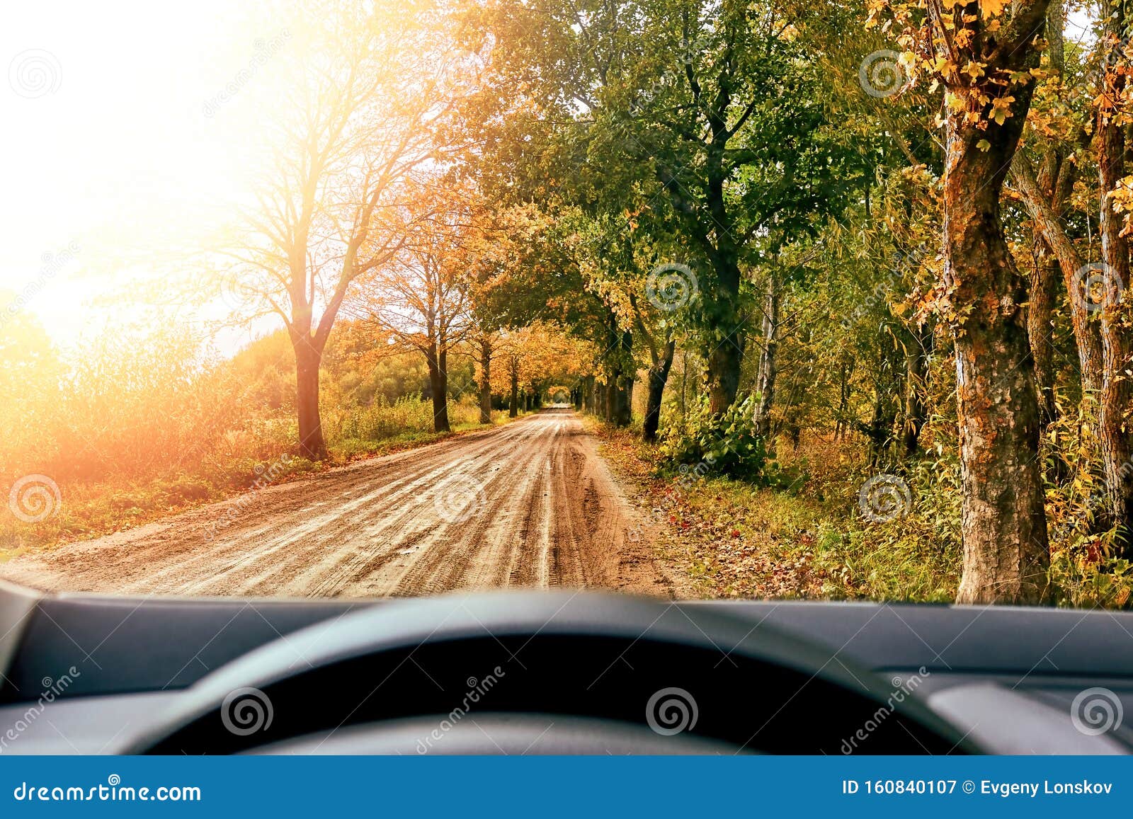 Driving Car on Road in the Autumn Forest. Leaf Fall. Stock Image ...