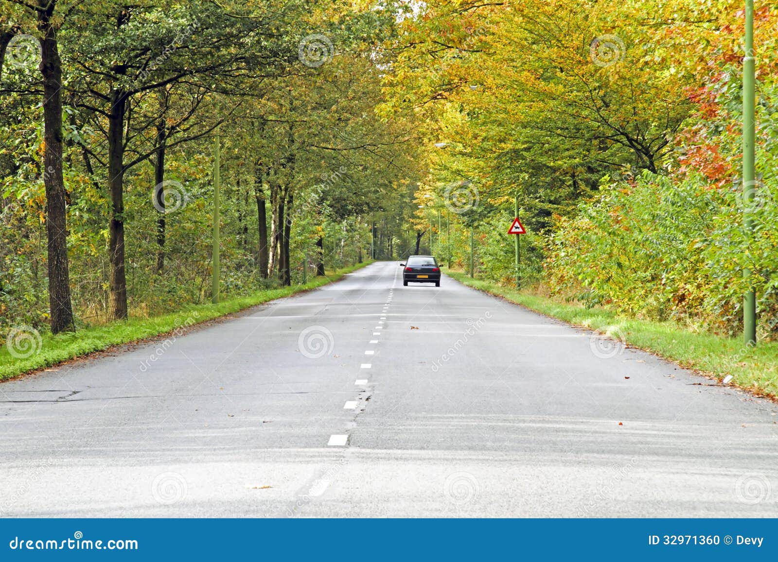 Driving in the Countryside from the Netherlands Stock Photo - Image of ...