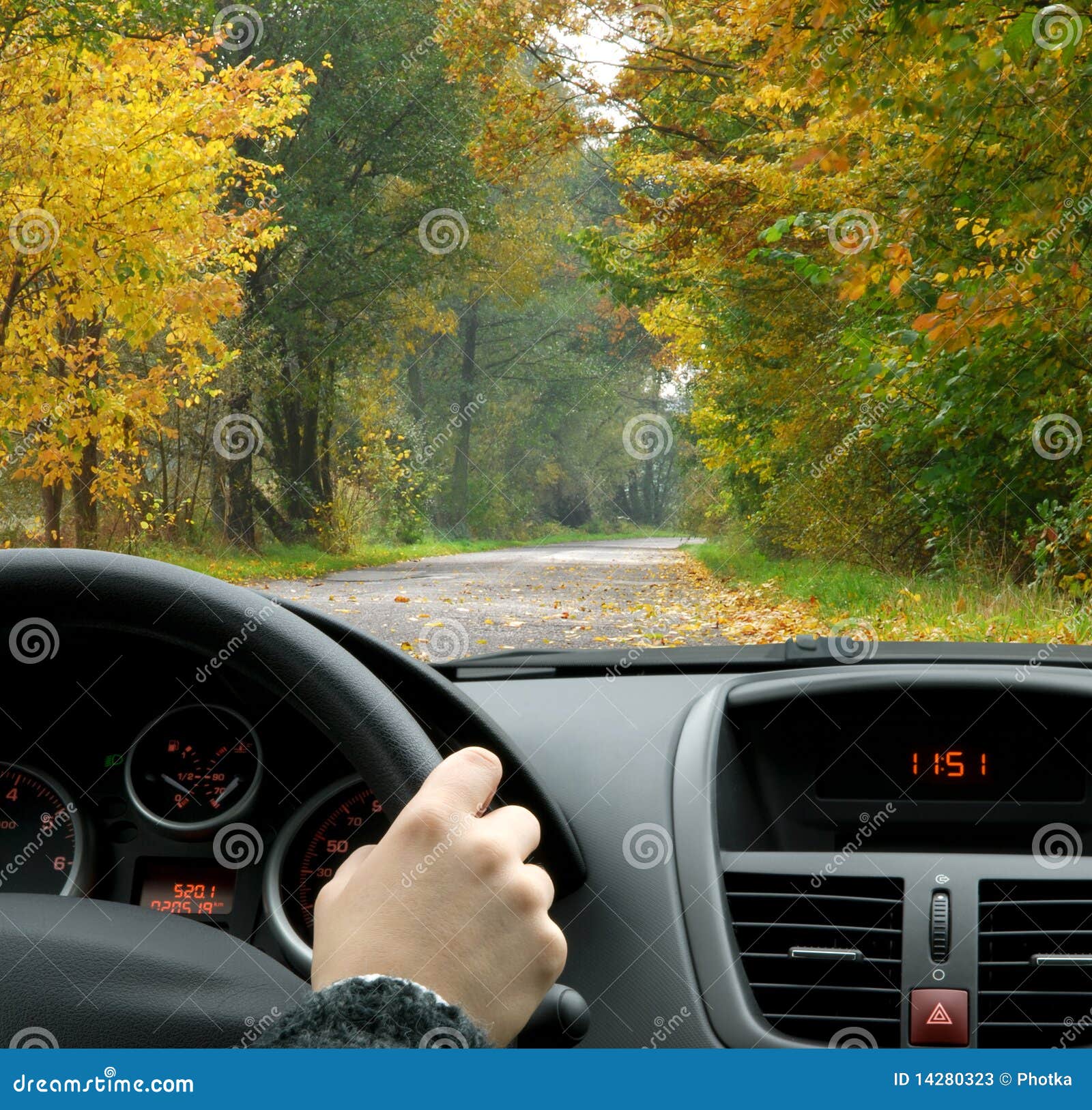 Driving in fall stock image. Image of fall, road, driving - 14280323