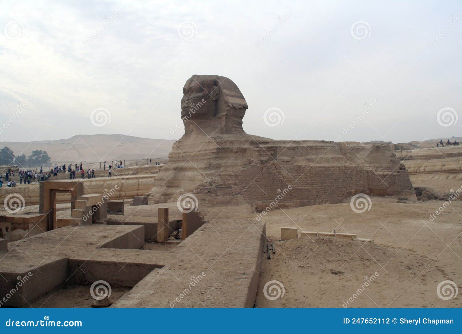 Side View of the Sphinx on the Giza Complex Editorial Photography ...