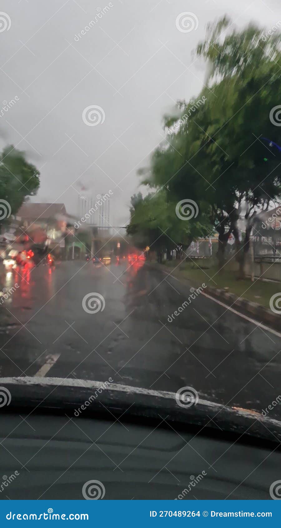 Driving on rainy day stock photo. Image of driving, mist - 270489264