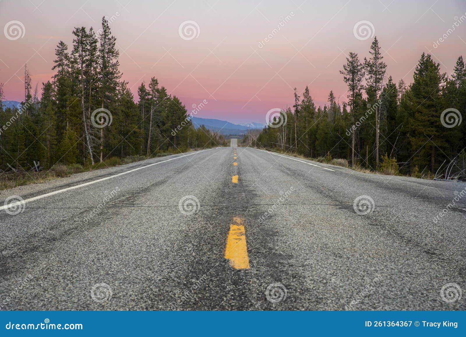Driving when the sun sets stock image. Image of highway - 261364367