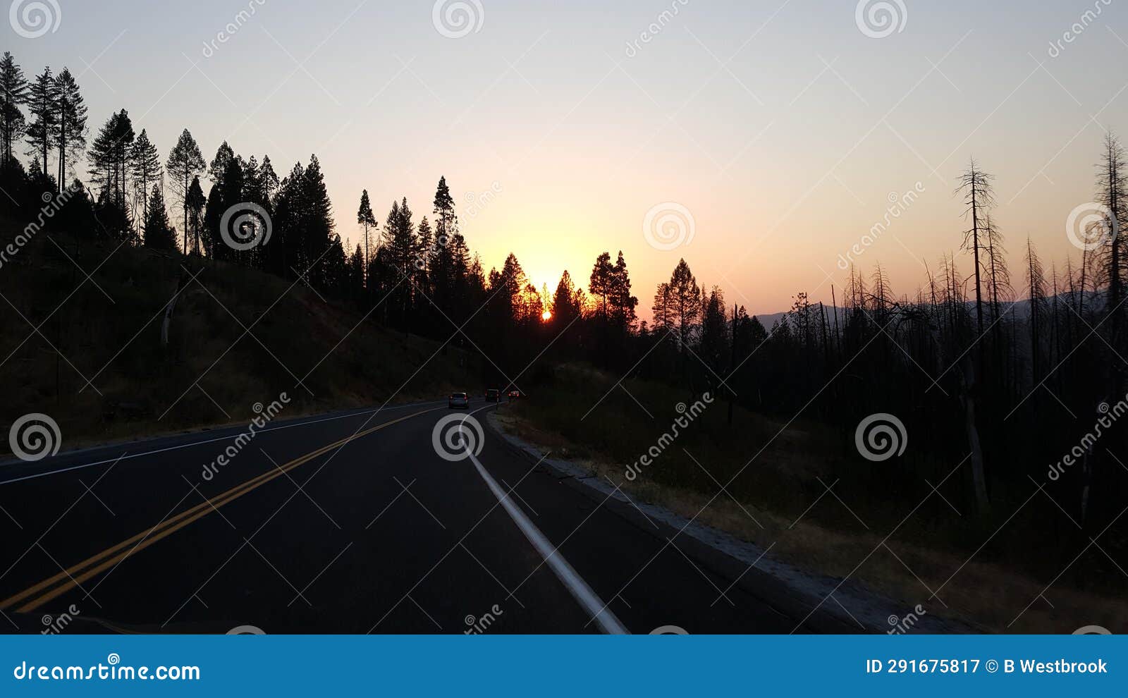 Driving into the sunset stock image. Image of horizon - 291675817