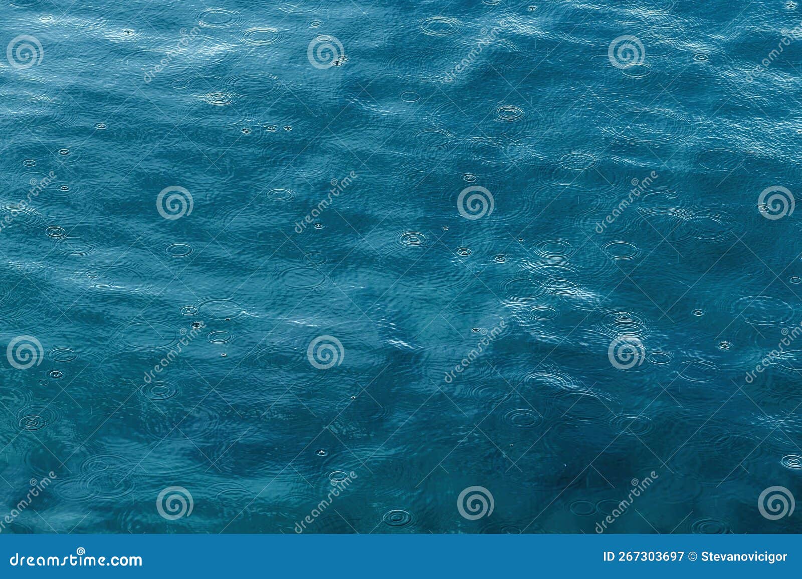 Drizzle Rain Concentric Circles on Sea Water Surface Stock Image ...