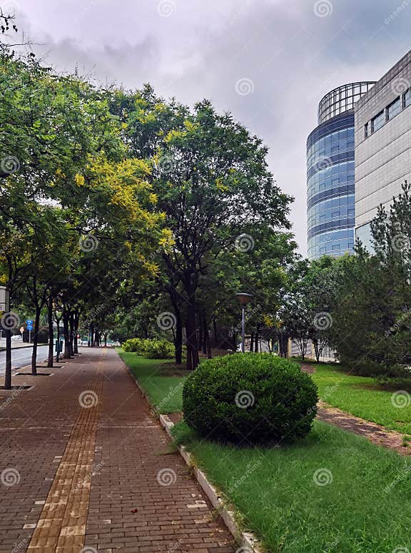Sidewalks and Surrounding Greenery beside the Road. Stock Photo - Image ...