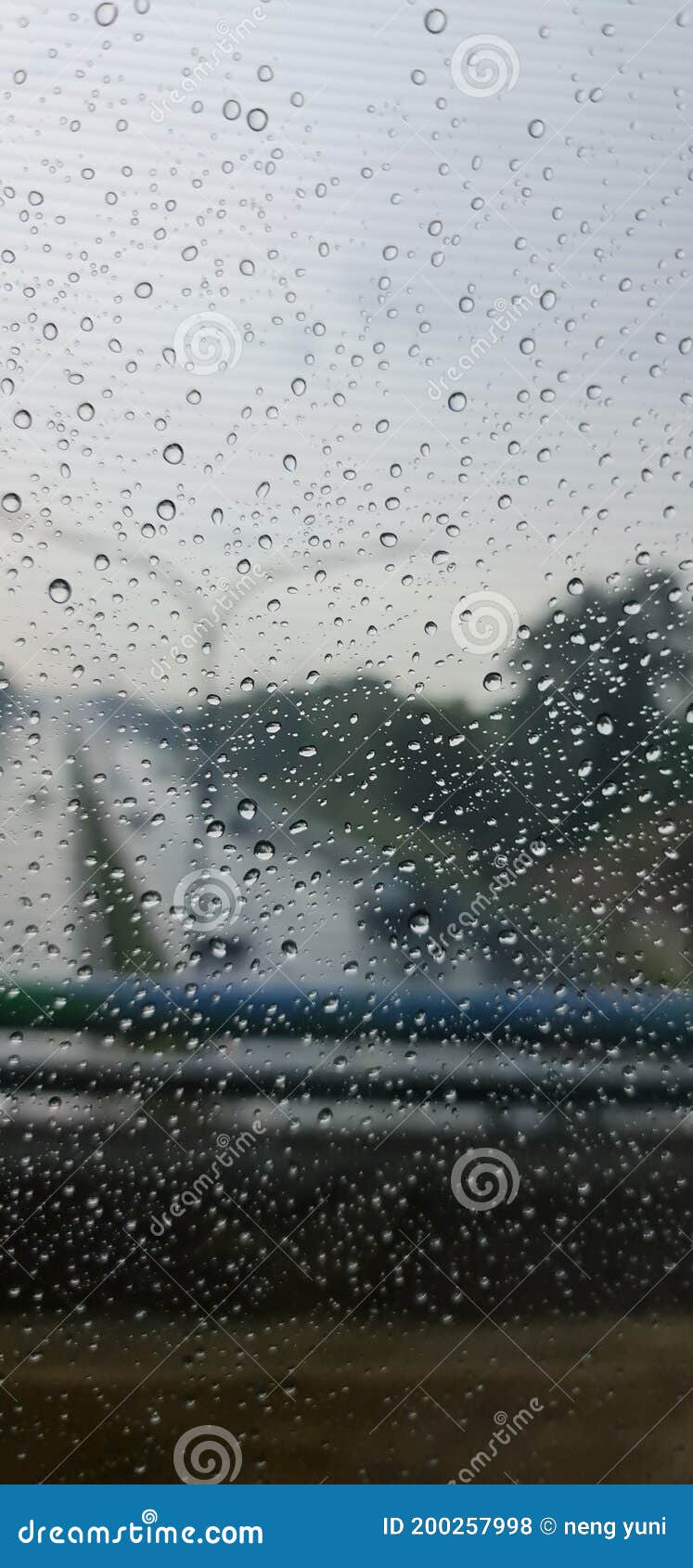 Drizzle stock photo. Image of drizzle, rain, drizzel - 200257998