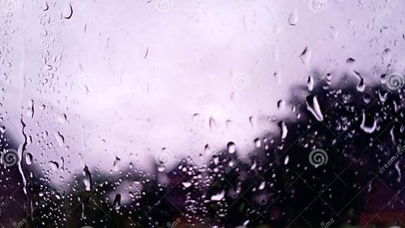 Drizzling Rain that Cools during the Day Stock Photo - Image of cools ...
