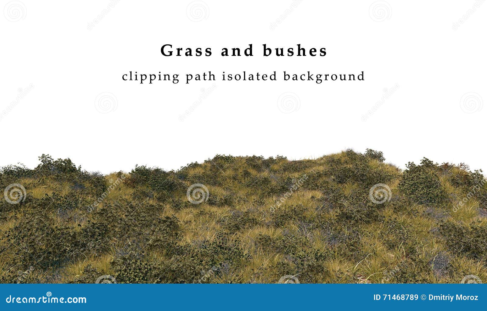 Droge Geïsoleerd Gras En Struiken Stock Illustratie - Illustration of ...