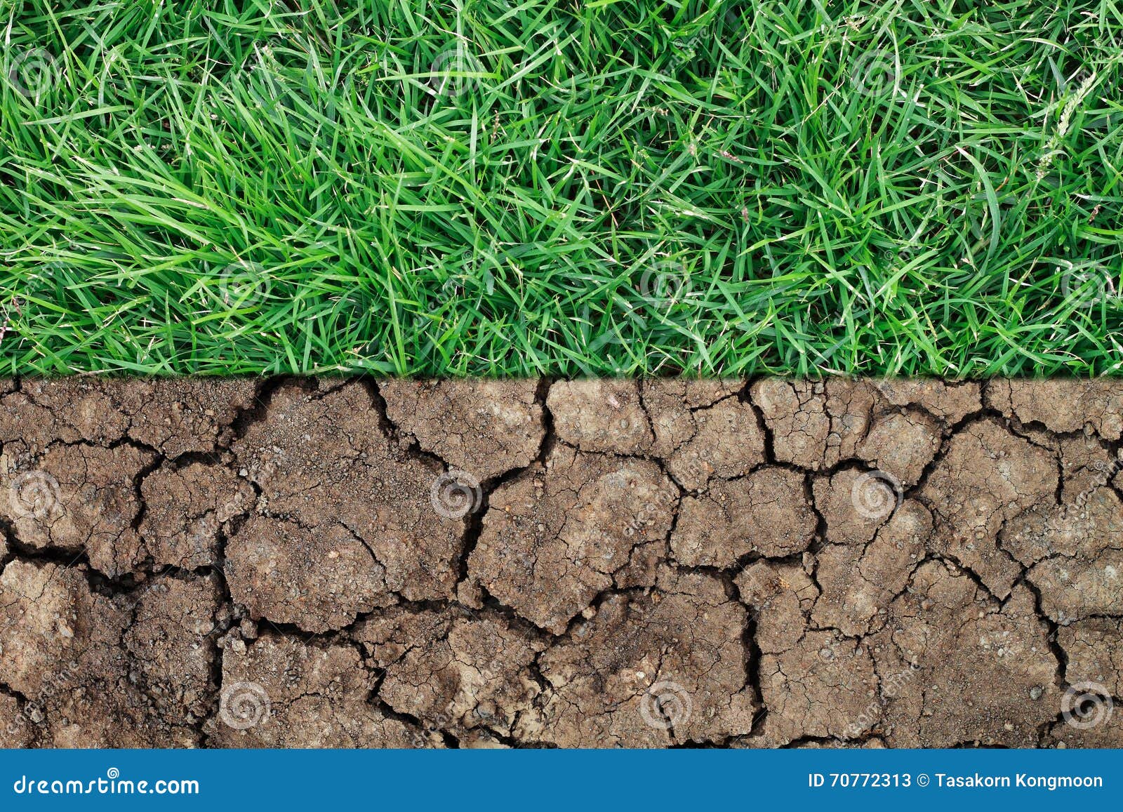 Droge grond en groen gras stock afbeelding. Image of gazon - 70772313