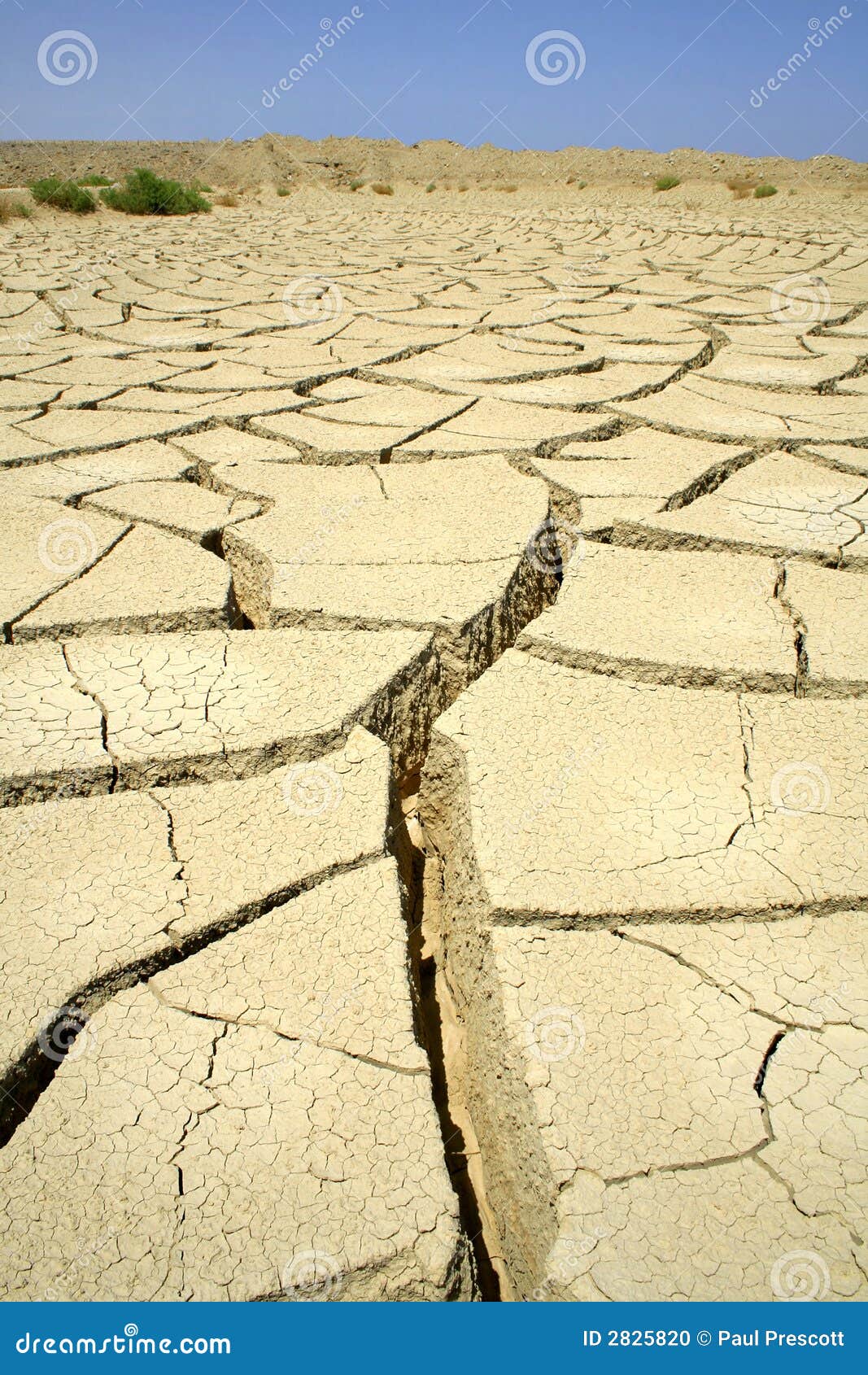 Droge Woestijn in Rood Overzees Gebied Stock Foto - Image of safari ...