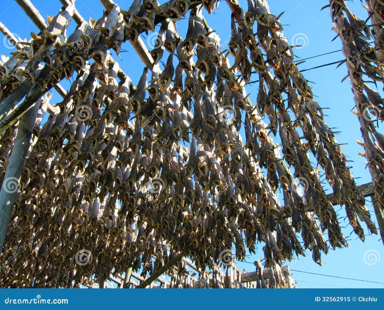 Drogende stokvis stock afbeelding. Image of cultuur, overzees - 32562915