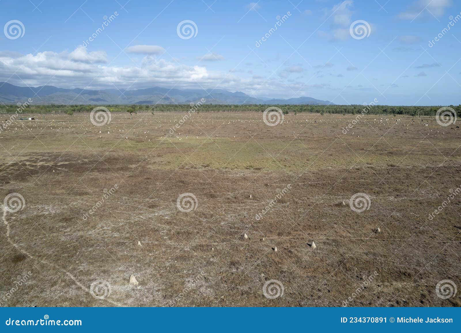 Drone Aerial of Field Filled with Termite Mounds Stock Image - Image of ...