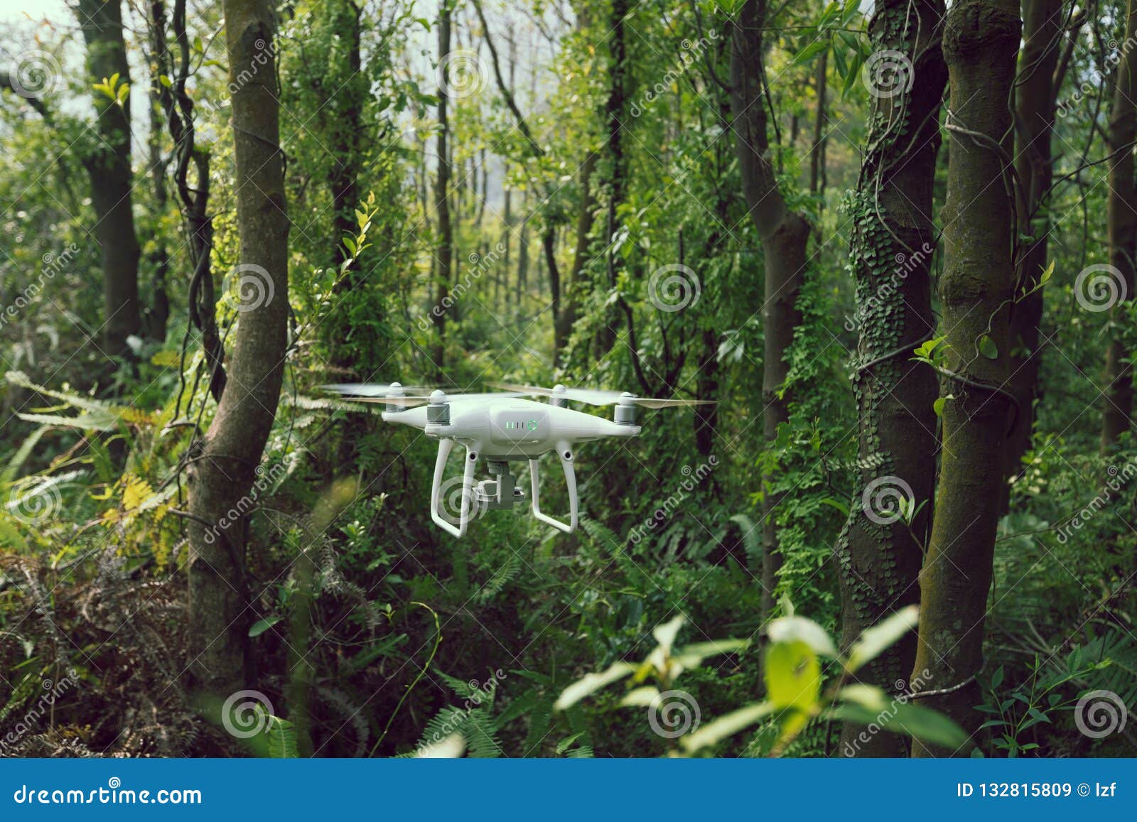 Drone with Camera Flying in Tropical Forest Stock Image - Image of ...