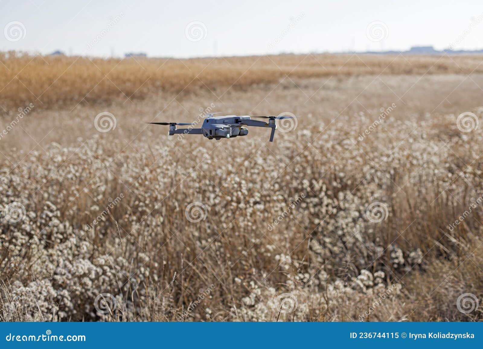 Drone with a Digital Camera Flies Over a Yellow Field, Modern Unmanned ...