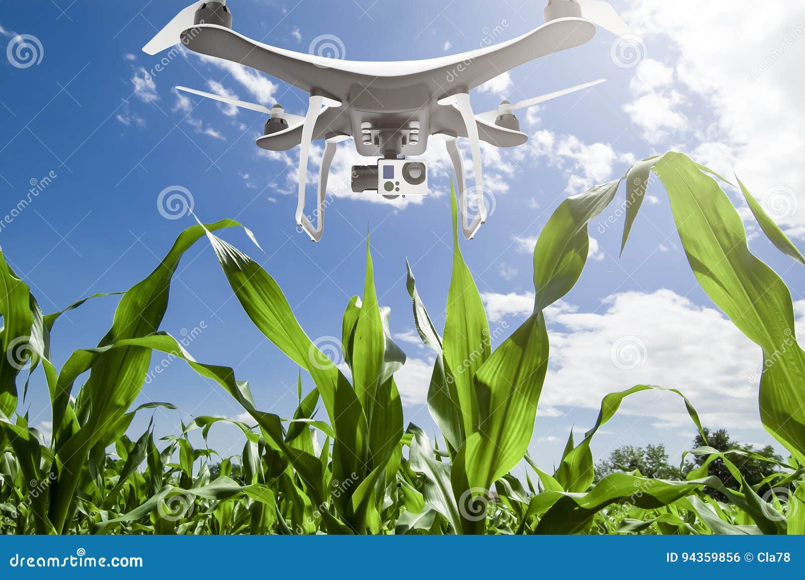 Drone with Digital Camera Flying Over Cultivated Field Stock Photo ...