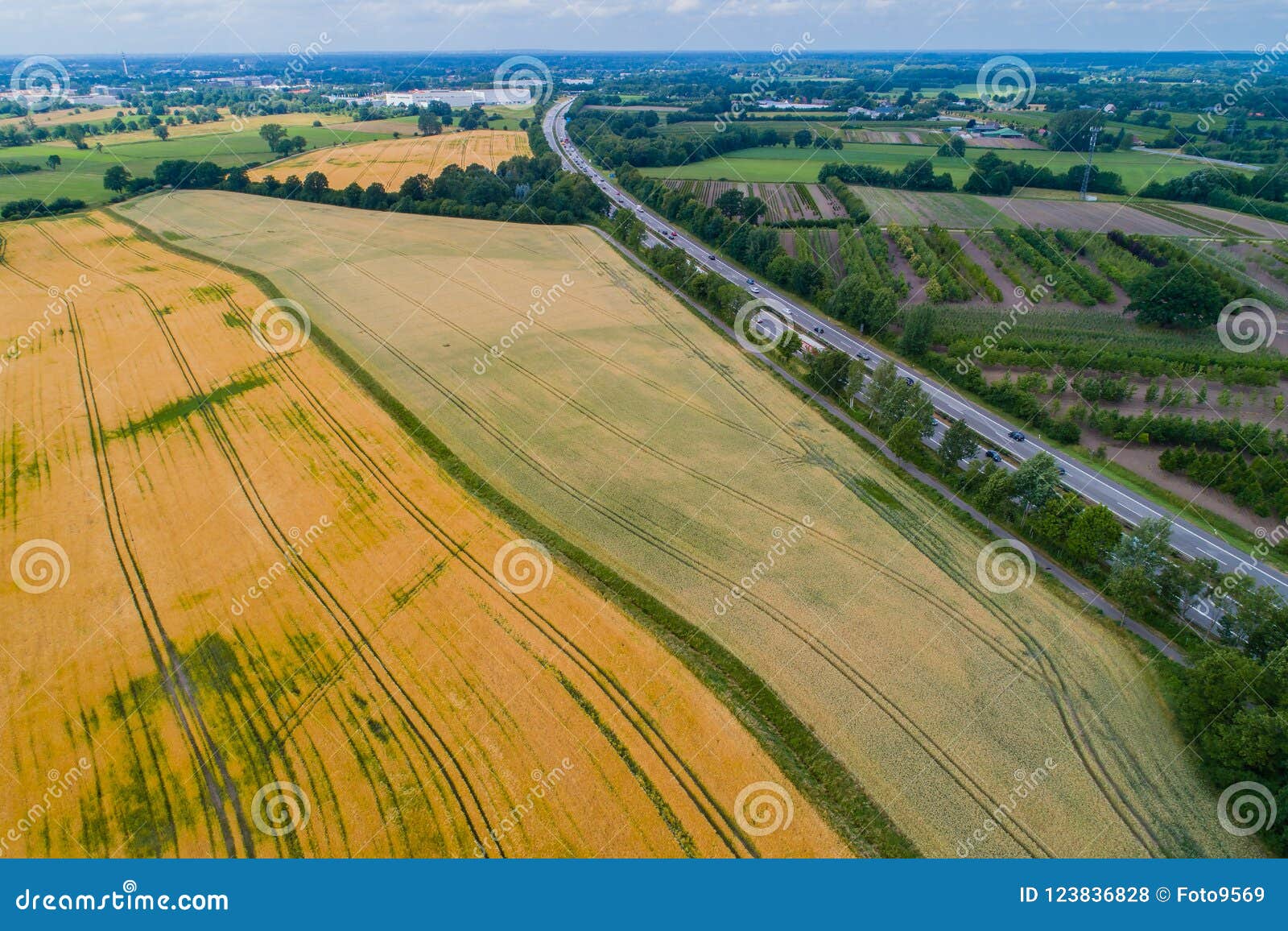 Drone Flight and Aerial View Over a Corn Field Stock Photo - Image of ...