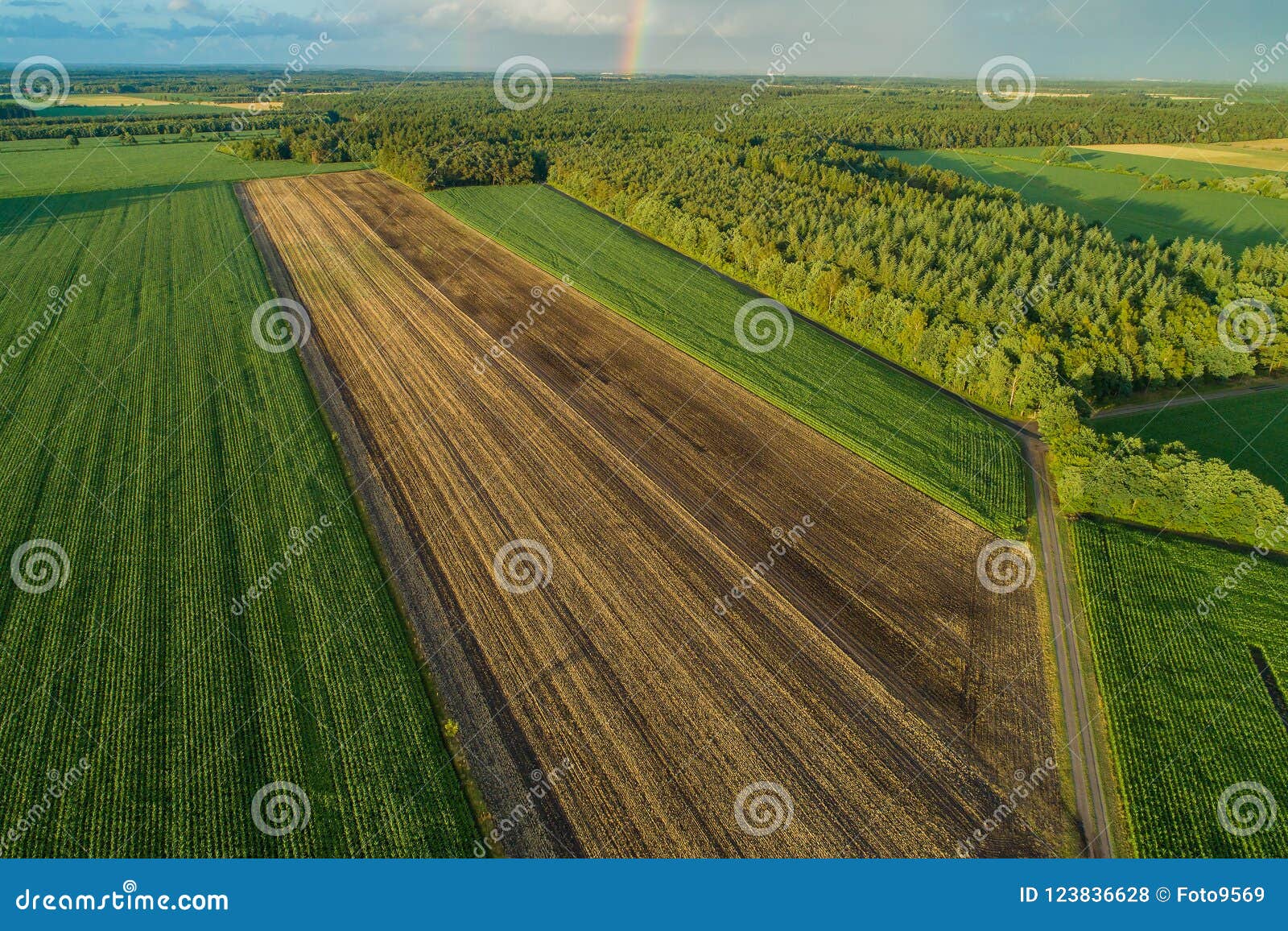 Drone Flight and Aerial View Over a Corn Field Stock Photo - Image of ... Drone Flight and Aerial View Over a Corn Field Stock Photo - Image of ...