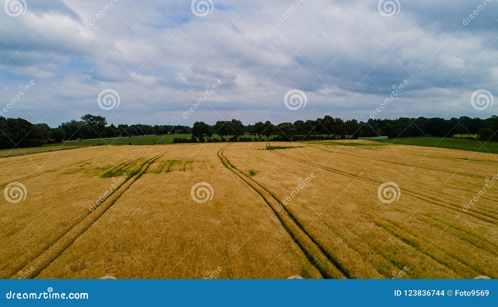 Drone Flight and Aerial View Over a Corn Field Stock Photo - Image of ... Drone Flight and Aerial View Over a Corn Field Stock Photo - Image of ...