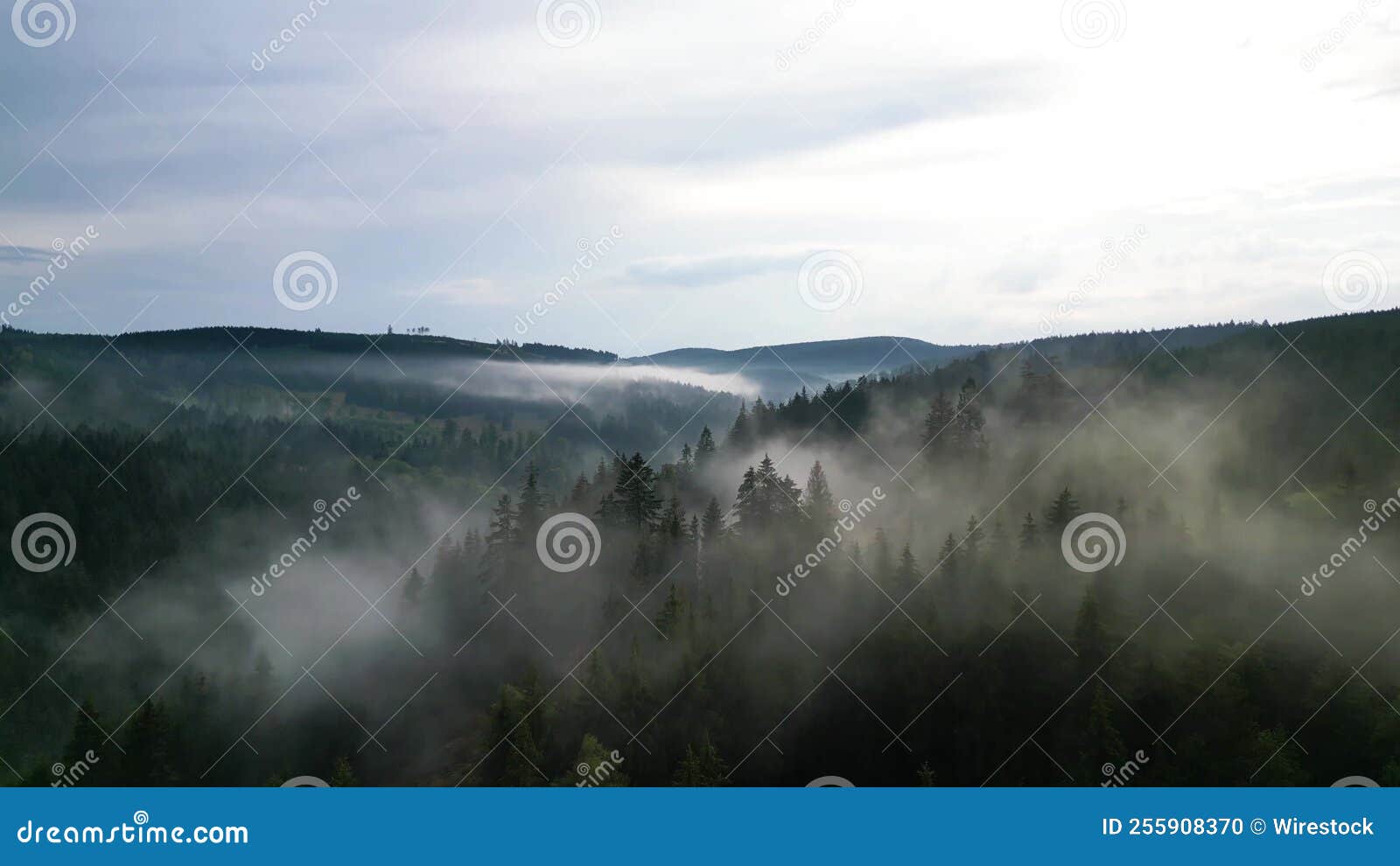 Drone Flying Backwards Over Misty Forest Stock Footage - Video of ...
