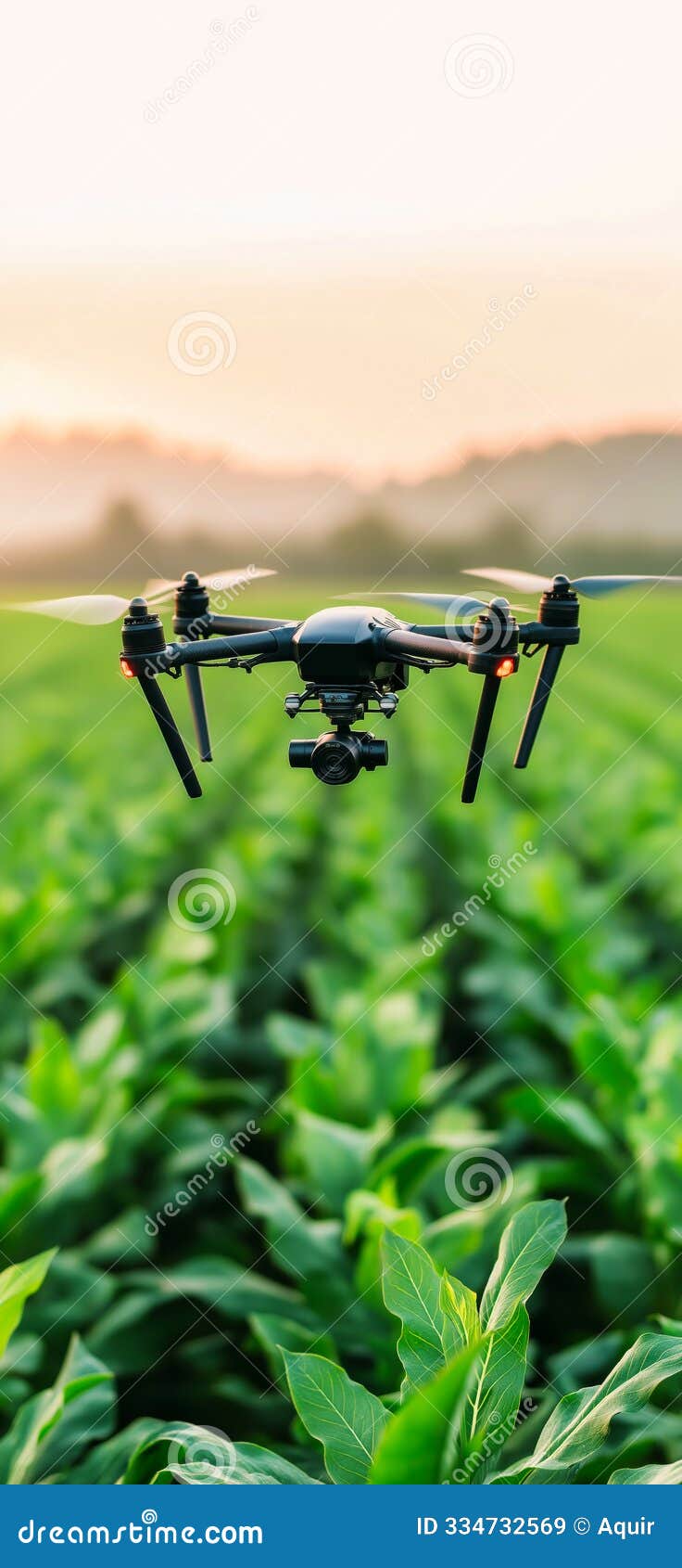 Drone Flying Over a Field. Modern Agriculture Stock Illustration ...