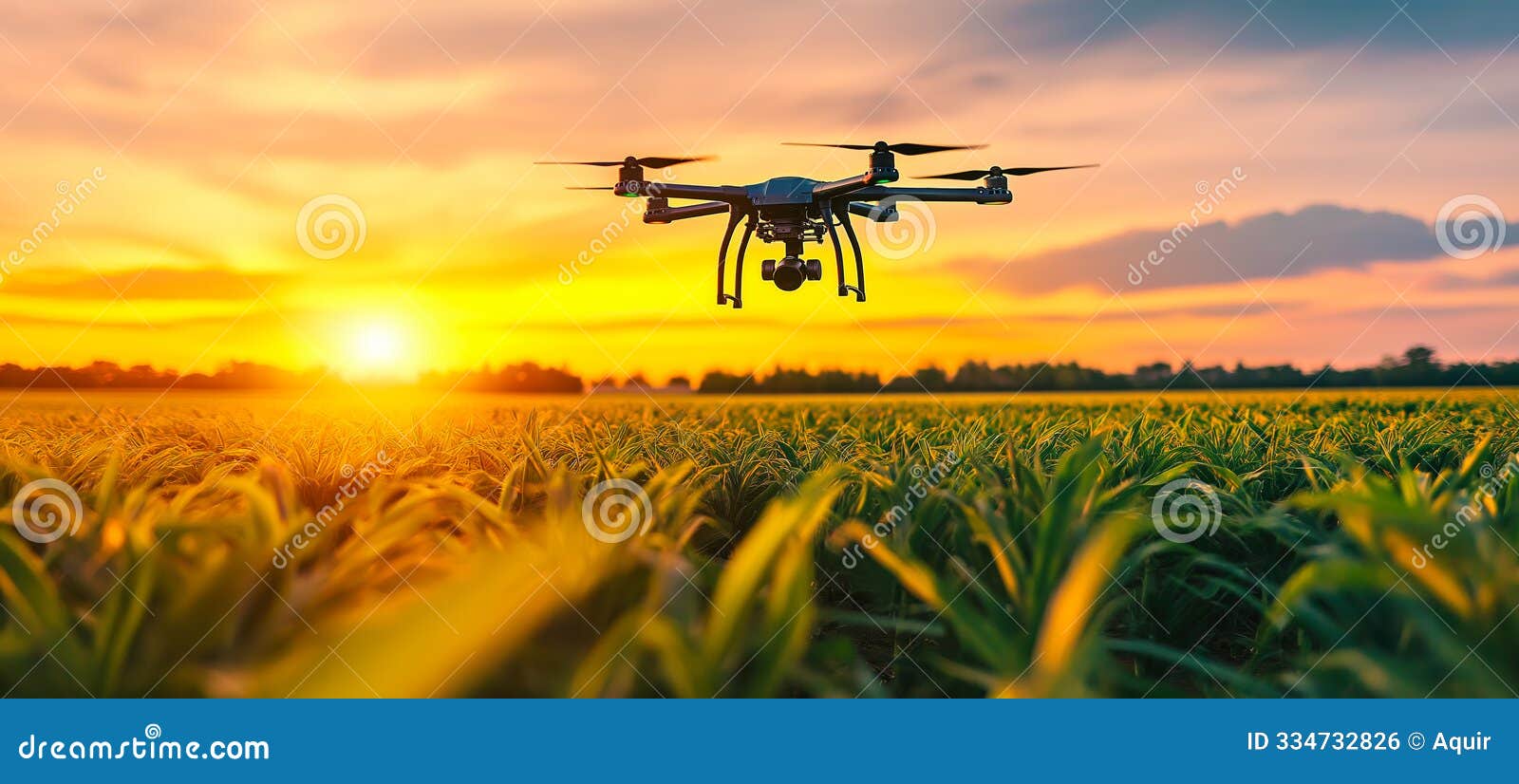 Drone Flying Over a Field. Modern Agriculture Stock Illustration ...