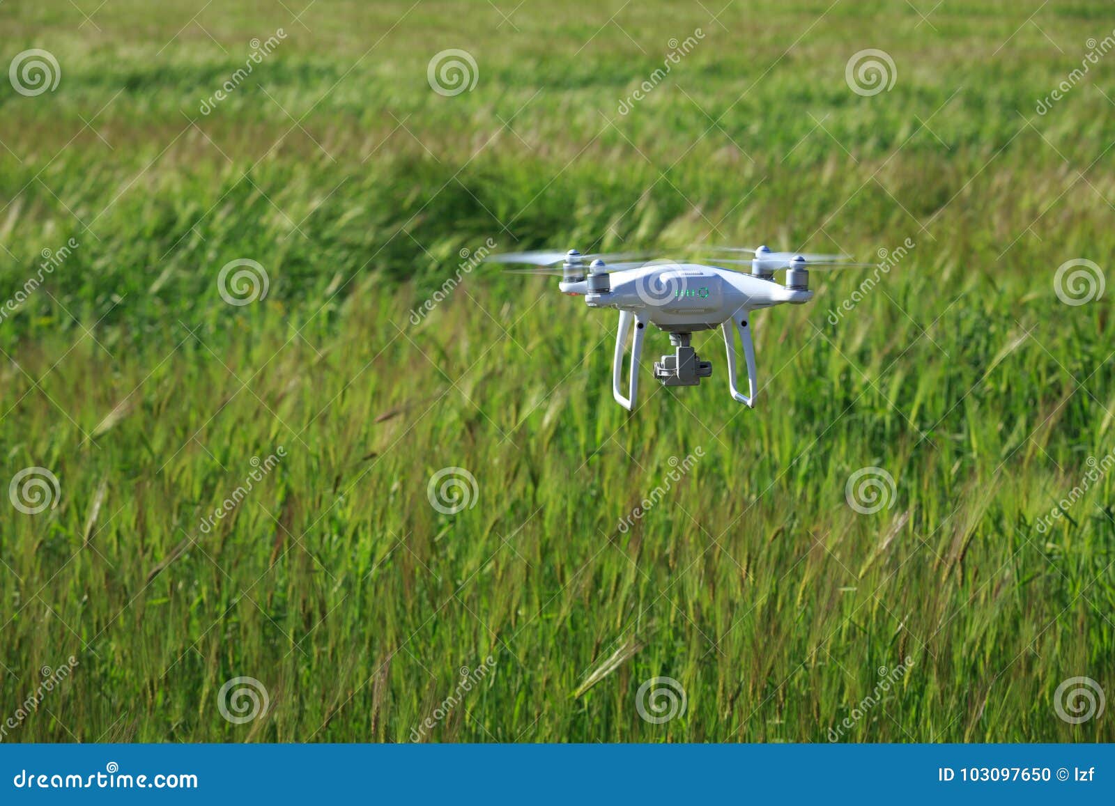 Flying Drone Over Wheat Field Stock Photo - Image of device, recorder ...