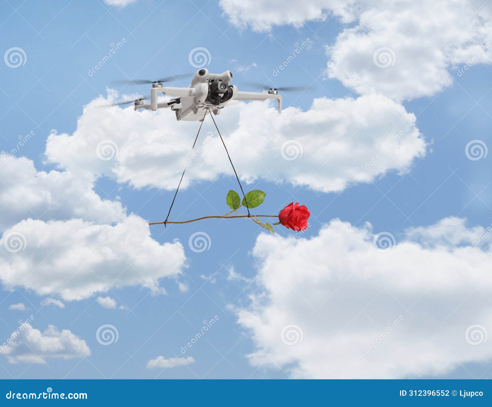 Drone Flying Up in the Sky with a Red Rose Stock Photo - Image of rose ...