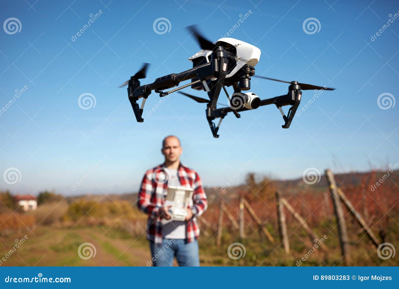 Drone Hovering Over Sunflower Field Royalty-Free Stock Photography ...