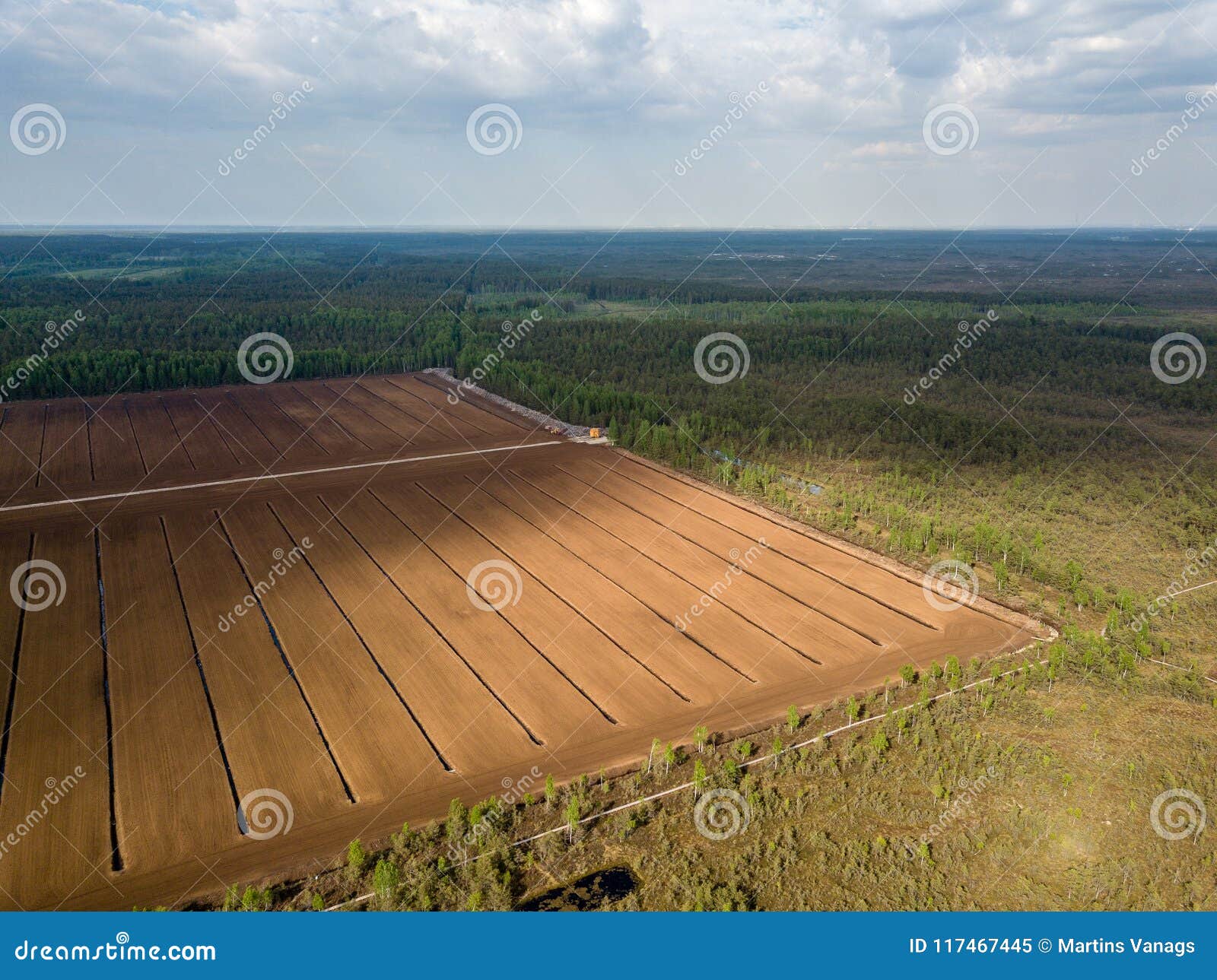 Drone Image. Aerial View of Cultivated Turf Fields in the Swamp Stock ...