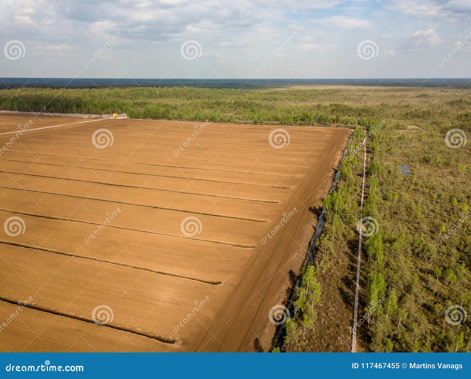 Drone Image. Aerial View of Cultivated Turf Fields in the Swamp Stock ...
