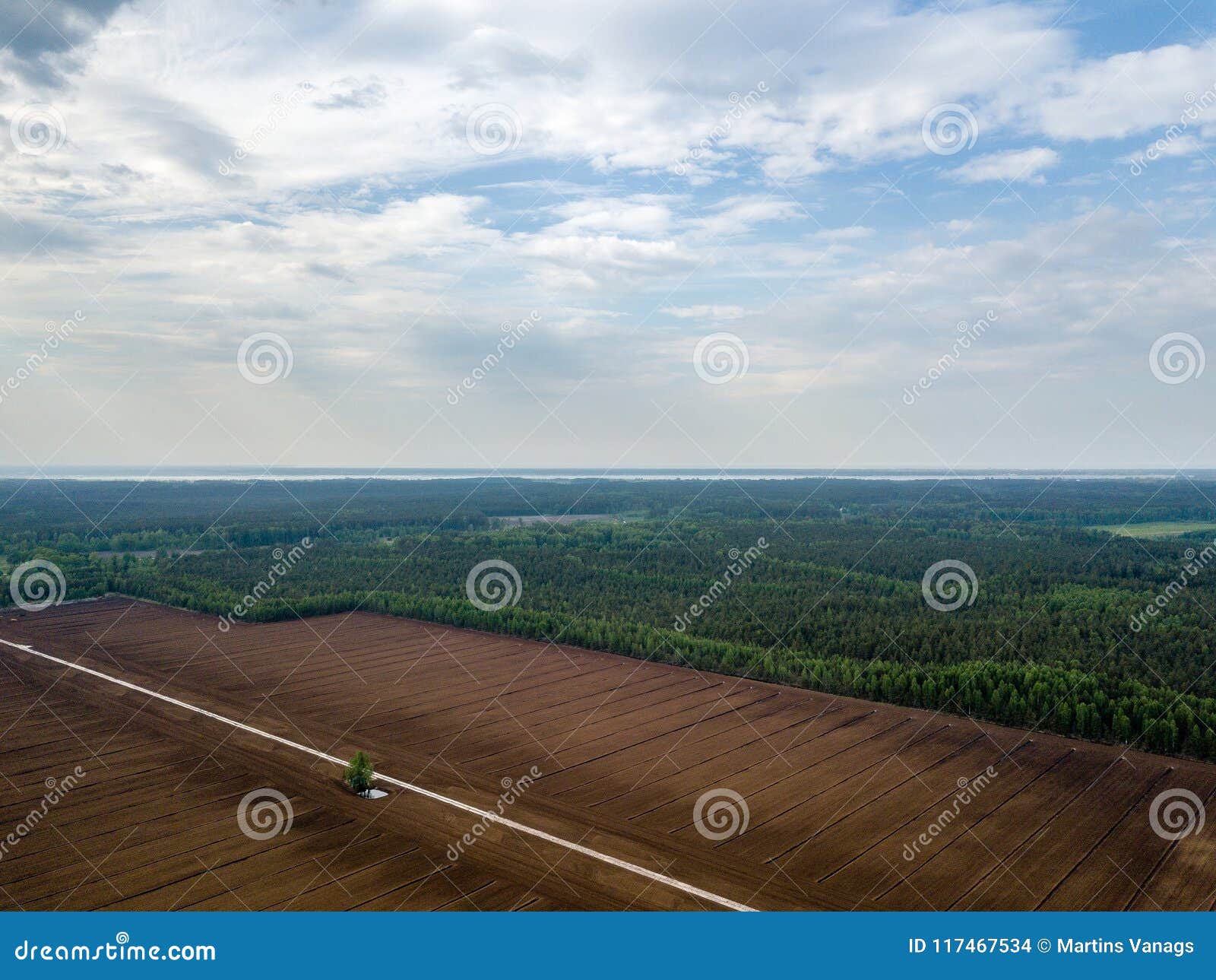 Drone Image. Aerial View of Cultivated Turf Fields in the Swamp Stock ...