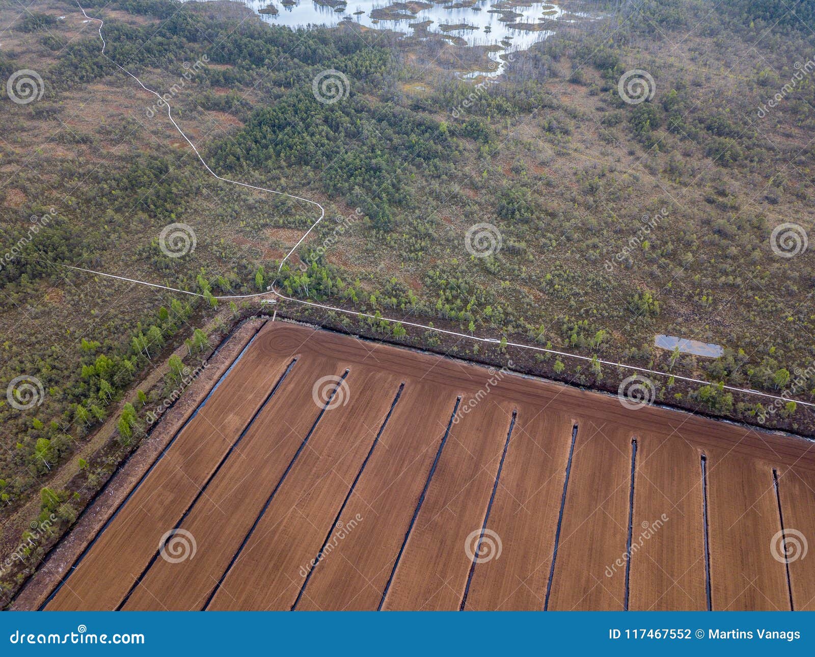 Drone Image. Aerial View of Cultivated Turf Fields in the Swamp Stock ...