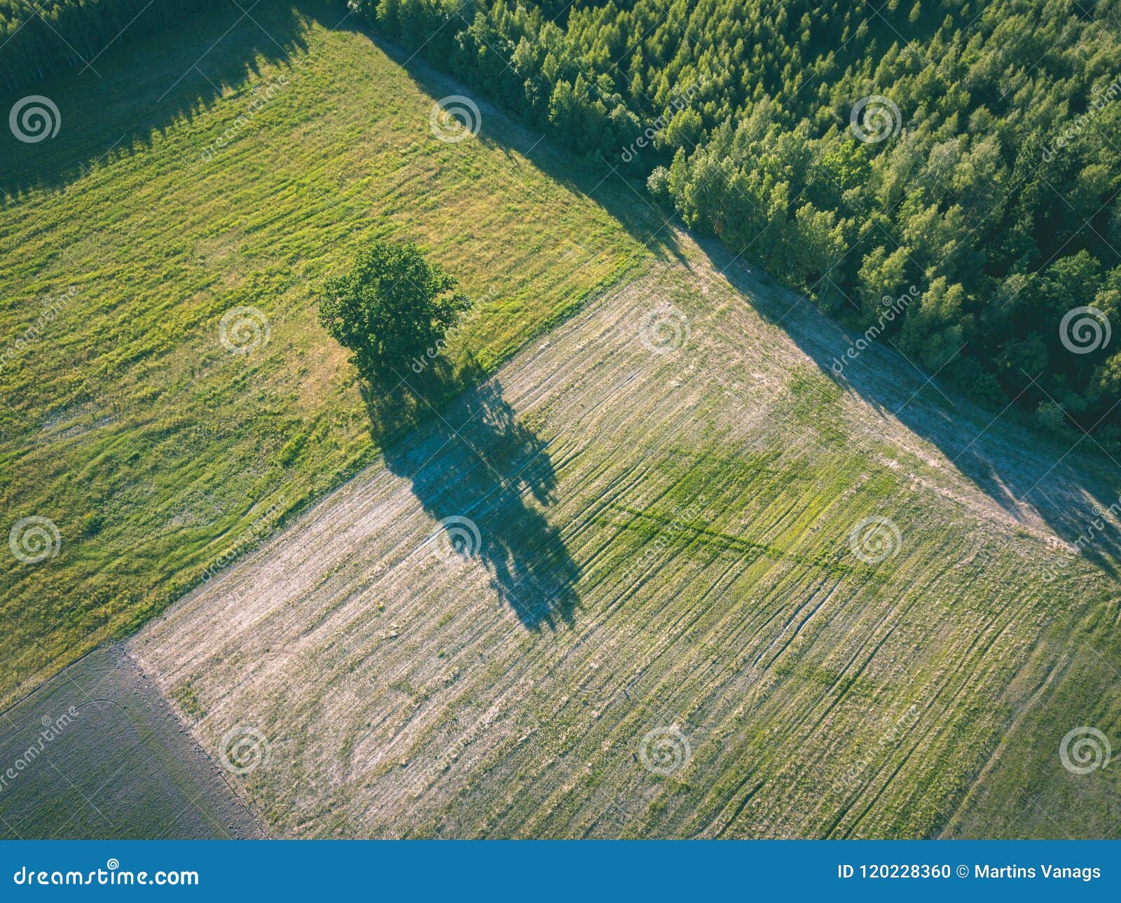 Drone Image. Aerial View of Empty Cultivated Fields with Lonely Stock ...